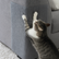 Protect the Spots Your Cat Already Scratches Without Losing Your Home ...